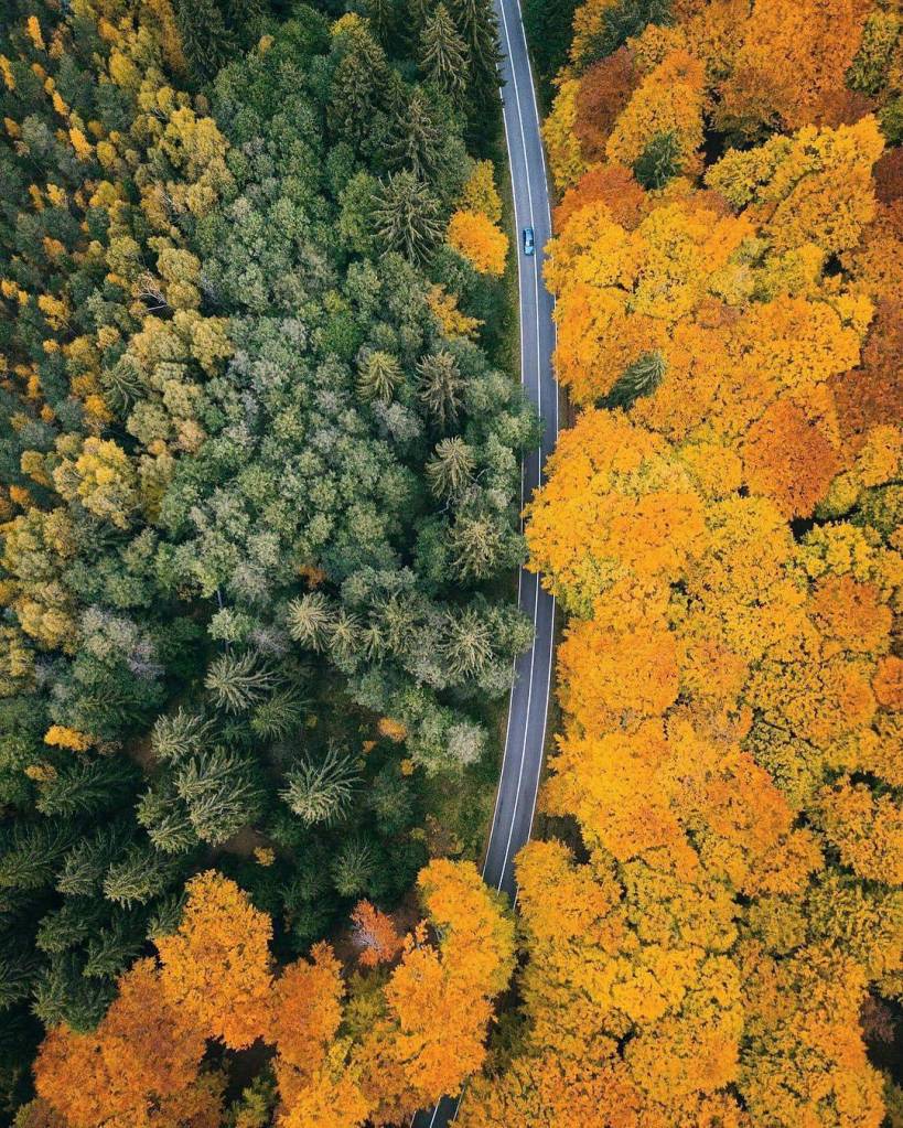 15 amazing photos of Romania in the autumn – positivenewsromania.com